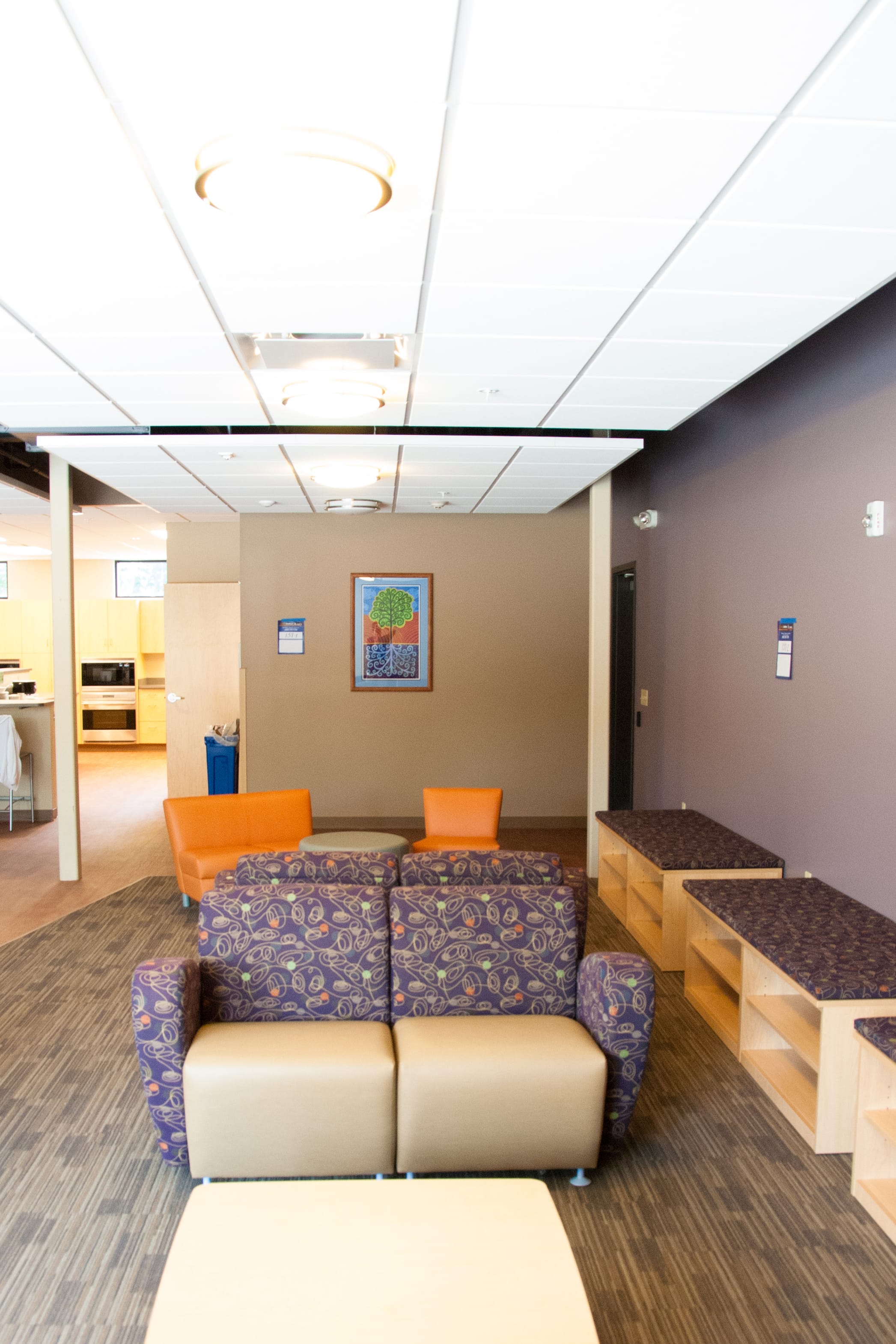 DAIS Shelter | Commercial Construction by Ideal Builders